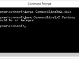 Command Line Argument In Java