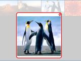 Create A Simple Lightbox In Javascript