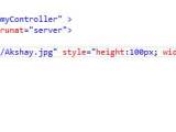 Learn Angularjs Ng Src Directive