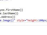 Learn Angularjs Ng Src Directive