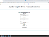 Basic Angular Form Design Using Template Driven Method