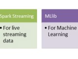 Big Data Analytics Using Apache Spark For Net