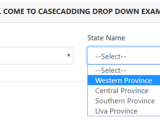 Cascading Dropdown Using Angular 7 And Web Api