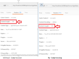 Compressing Web Api Response Using Dotnetzip