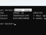 Container 3 Installing Sql Server Into Docker