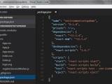 Build Reactjs App With Visual Studio Code