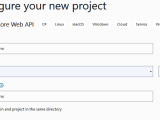 Hosting Net Core Web Api Images With Docker Compose Over Https