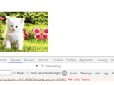 Ng Src Directive In Angularjs