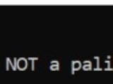 Palindrome String Program In C