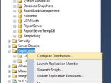 Replication In Sql Server Part Four