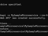 Running Net Core Application Using Docker Container
