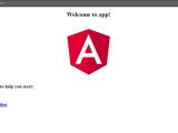 Set Up And Create Angular Application