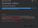 Sql Server Installation 2019 Developer Edition Custom