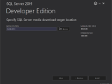 Sql Server Installation 2019 Developer Edition Custom