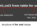 Using For Xml Clause In Sql Queries