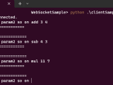 Websocket Communication Using Python