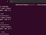 Websocket Communication Using Python
