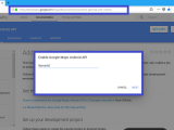 Xamarin Forms Google Maps Api