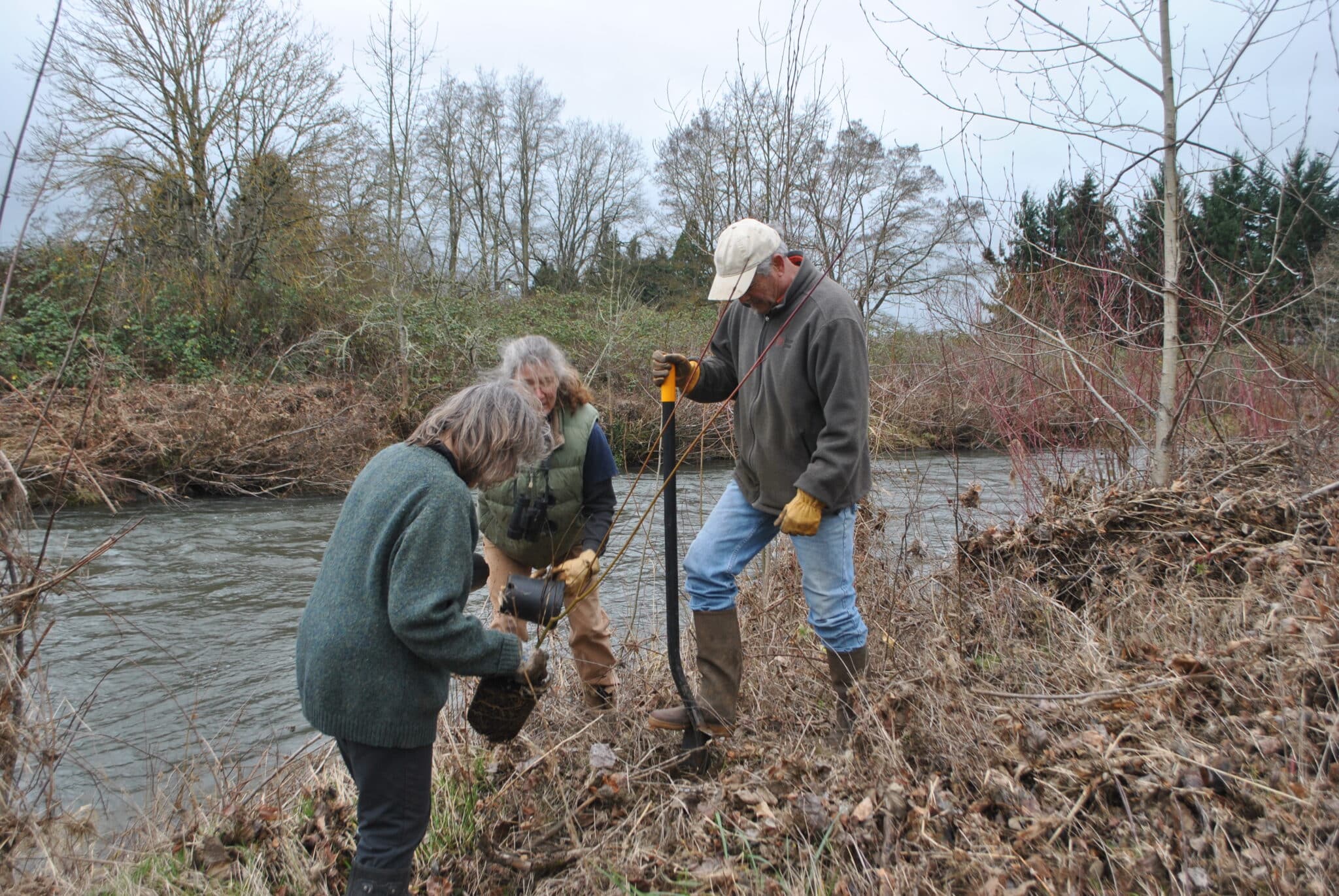 Riparian Restoration - Calapooia Watershed Council