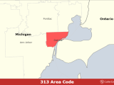 Area Code 313 Map Time Zone And Phone Lookup