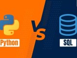 Python Vs Sql 7 Main Differences You Must Know