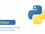 Python Basics Course