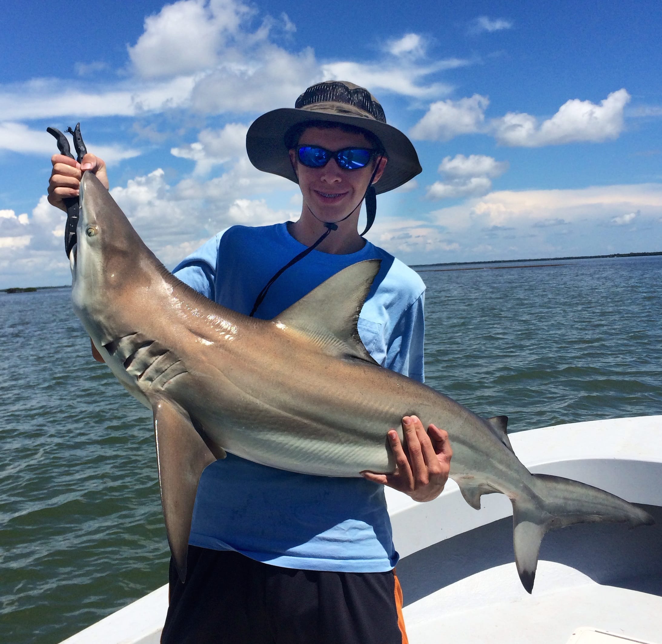 Captiva Fishing Report: Blacktip shark ~ Sanibel, Captiva, North ...