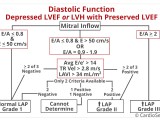Understanding The Basics Pathophysiology Of Diastole Cardioserv