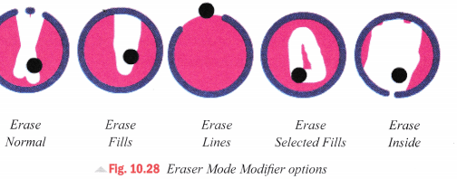 Cbse Notes For Class 7 Computer In Action Introduction To Adobe Animate Cc 2015 Cbse Tuts