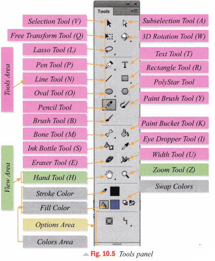 Cbse Notes For Class 7 Computer In Action Introduction To Adobe
