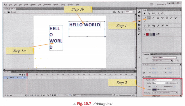 CBSE Notes for Class 7 Computer in Action - Introduction to adobe ...