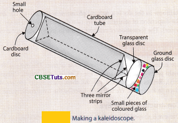 Image formed a Plane Mirror - Explained with Characterstics and Uses - CBSE Tuts