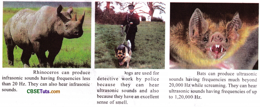 Reflection of Sound : Laws, Applications, Examples and Echo - CBSE Tuts