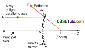 Convex Mirror - Ray diagram, Images Formed with Steps and Uses - CBSE Tuts