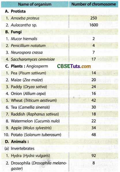 Chromosomal Theory of Inheritance: Observations and Inheritance - CBSE Tuts