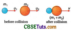What is a Perfectly Inelastic One Dimensional Collision Between Two Moving Objects? - CBSE Tuts