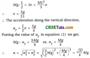 Angular Momentum : Definition, Unit, Dimension and Solved Examples - CBSE Tuts