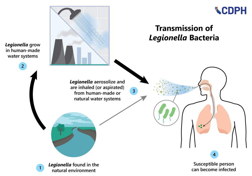 How To Test For Legionella Bacteria At Betty Crosby Blog