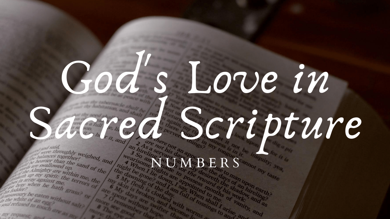 Numbers (God’s Love in Sacred Scripture) | Christian Landmark
