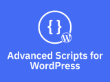 Advanced Scripts Manager For Wordpress