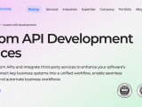Custom Api Development Services And Api Integration