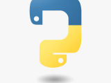 Questionary Python