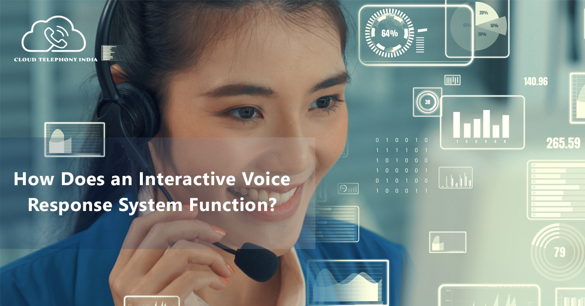 Interactive voice response system Function - Cloud Telephony India