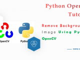 Opencv Python Remove Background