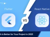 React Native Vs Flutter Which Is Better For Your Project In 2023