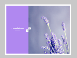 Vertical Image Slider In Javascript Codehim