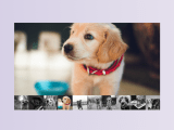 Javascript Image Carousel With Thumbnails Codehim