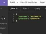15 Best Postman Alternatives For Api Testing Tools Codeindotnet