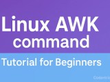 Linux Awk Command Tutorial For Beginners